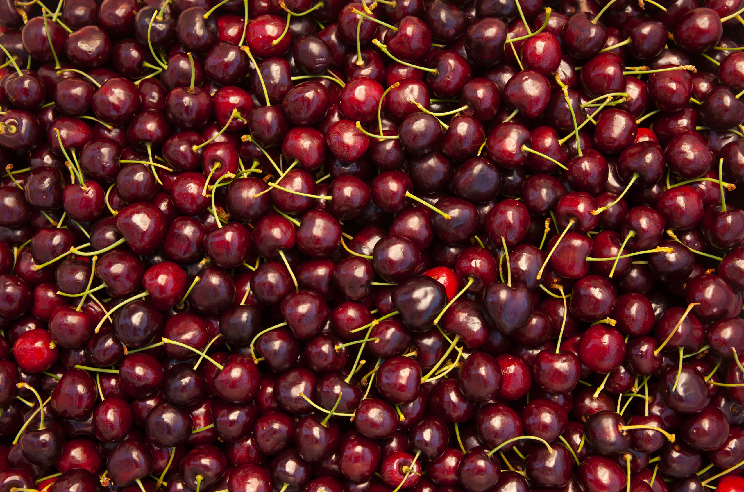 New Registration Process for the Cherry Export Programs - BC Cherry ...